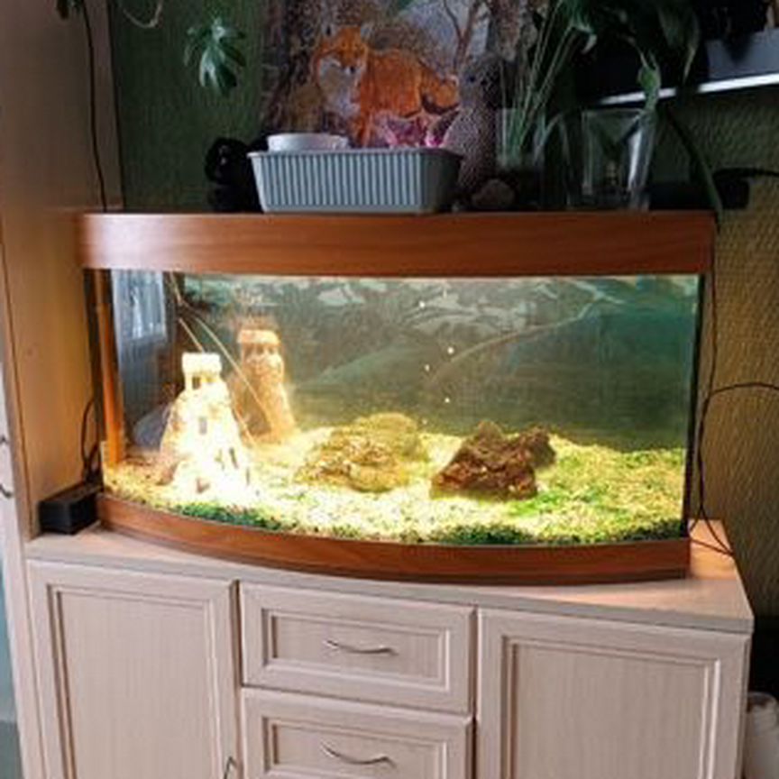 Аквариум 120л