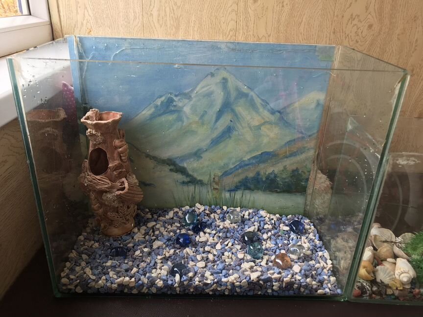 Аквариумы и фильтры