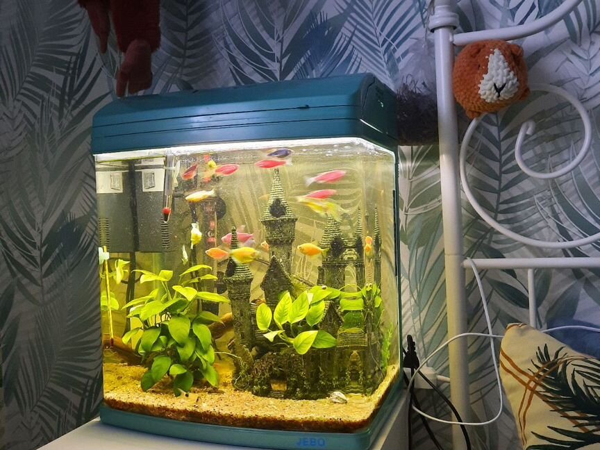 Готовый аквариум 34 литра с крышкой JEB0 R338