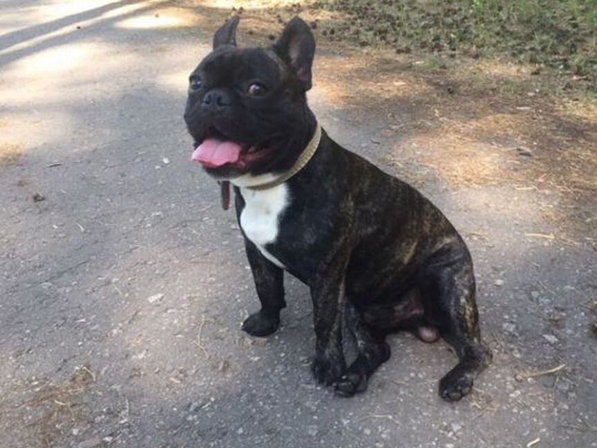 Ищем подружку