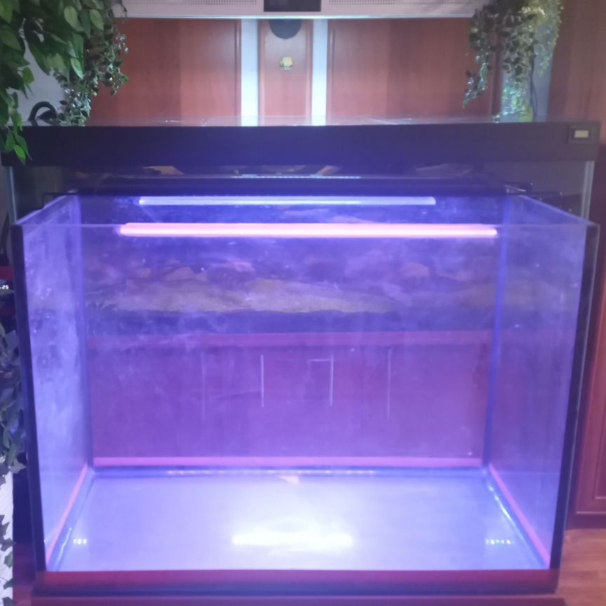 Аквариум на 100л