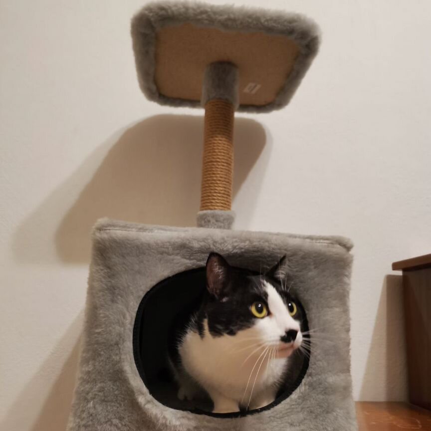 Домик для кошки с когтеточкой