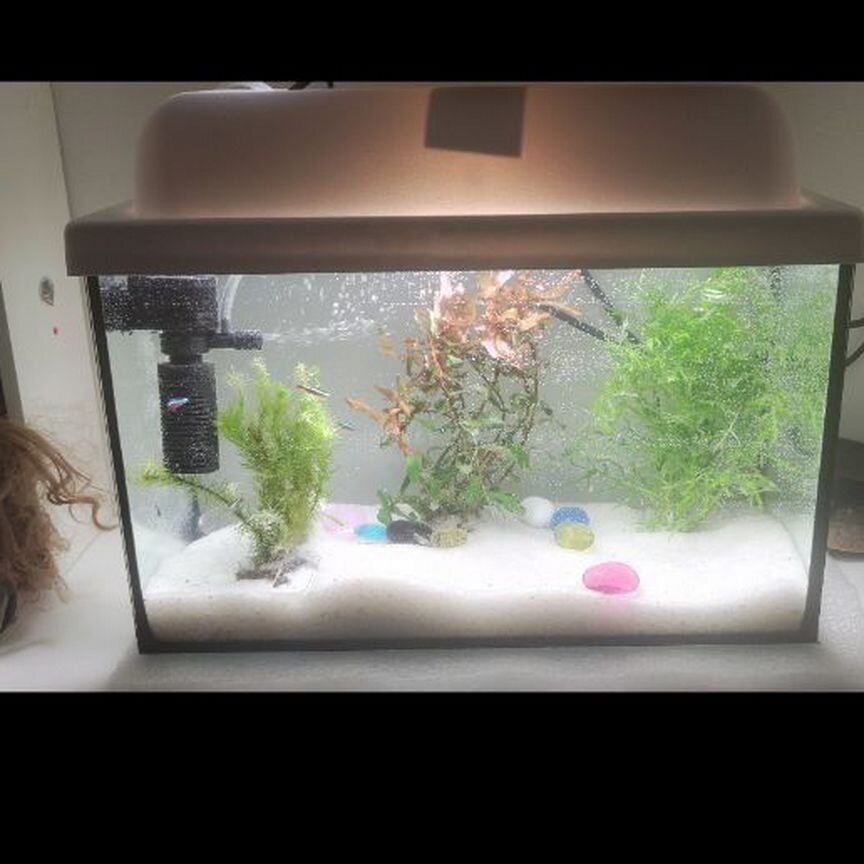 Аквариум на 25 литров