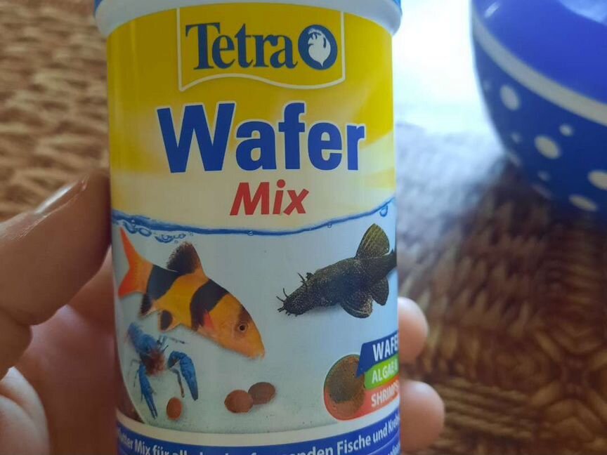 Корм для рыб