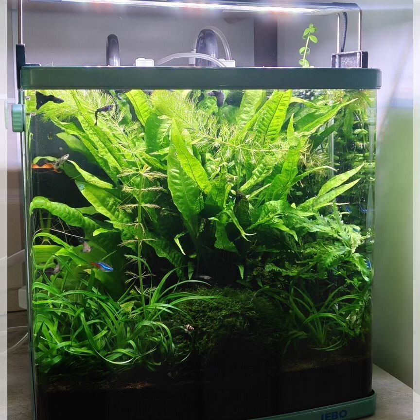 Аквариум jebo 338, 35л