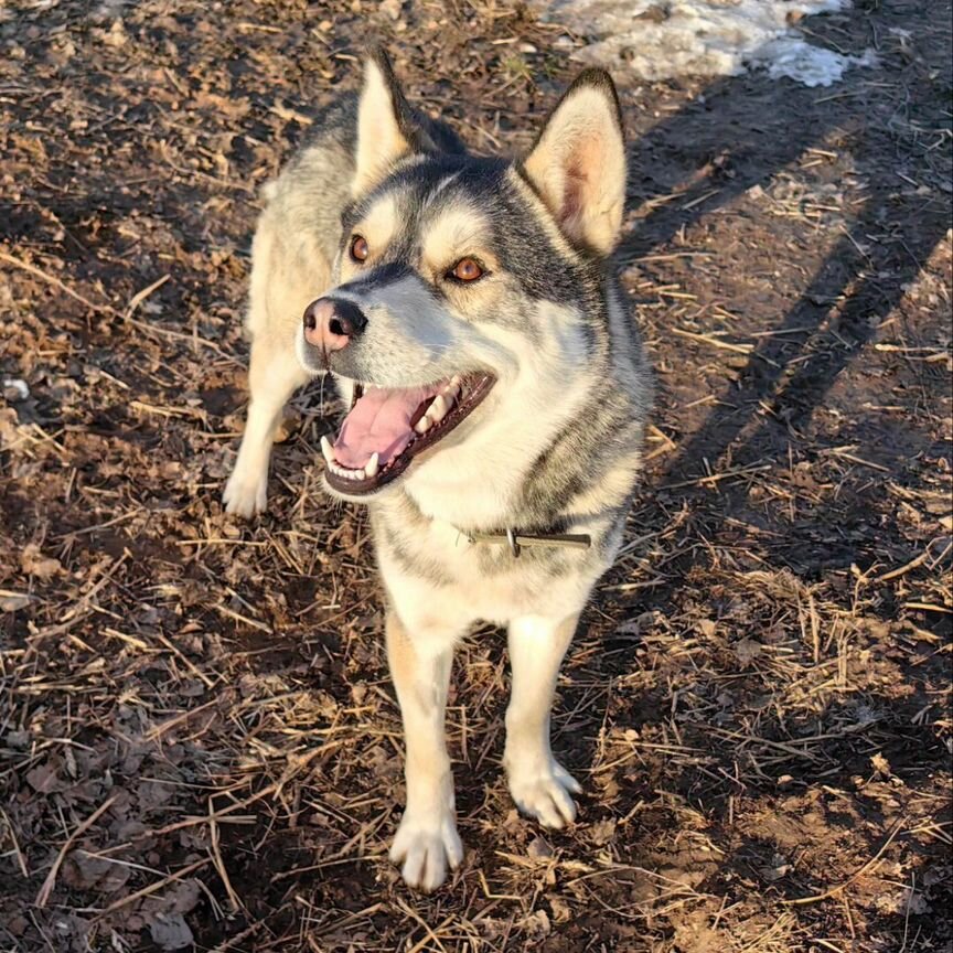 Хорошее настроение