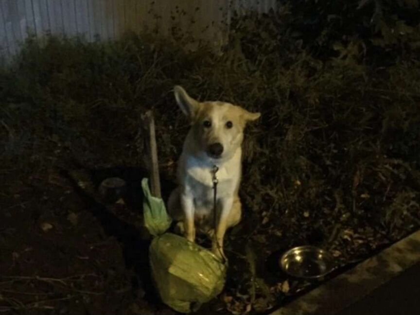 Очень нужен дом