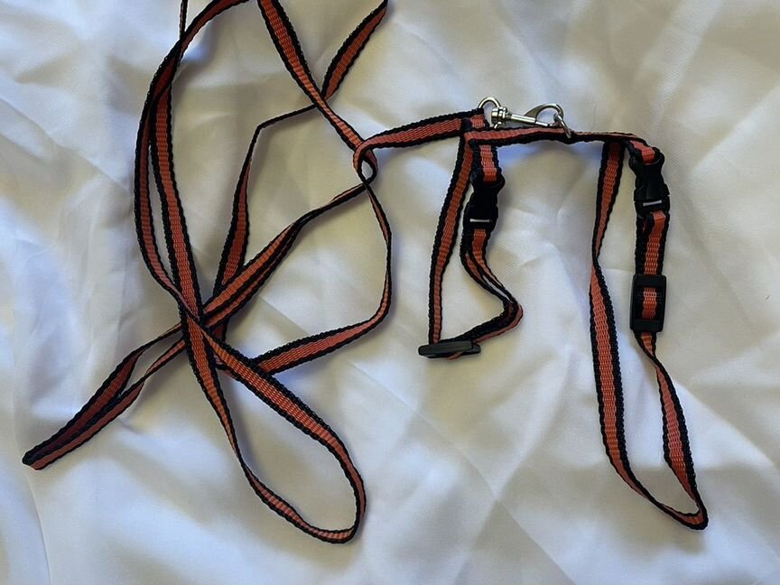 Шлейка для кошки/маленькой собаки