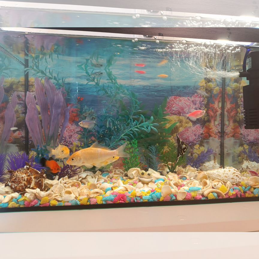 Аквариум