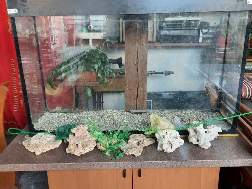 Аквариум