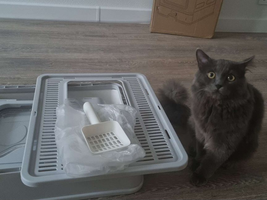 Лоток домик для кошек