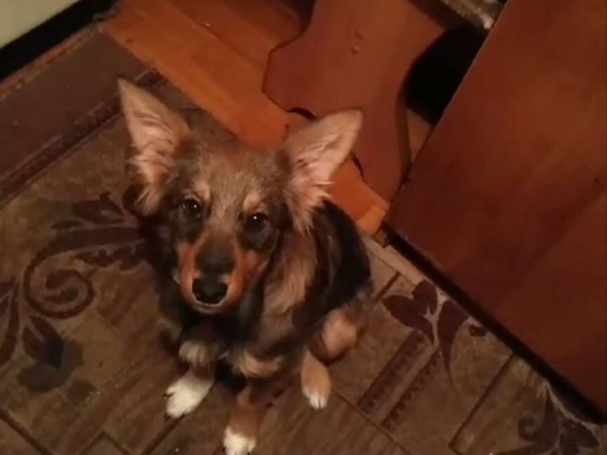 Умная Сонечка