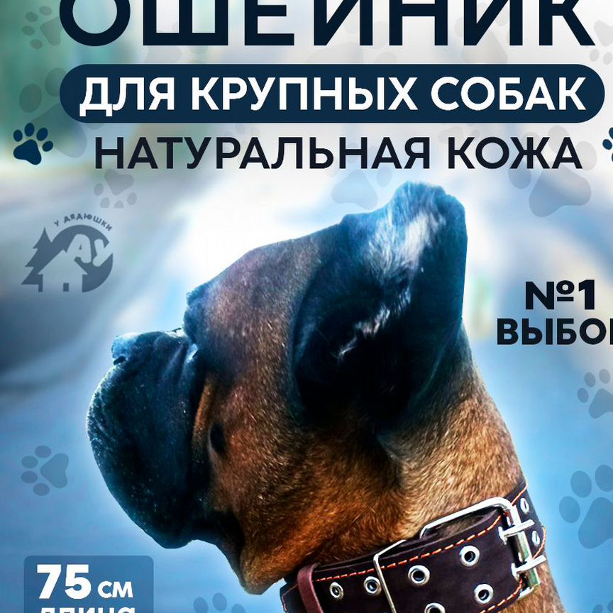 Ошейник кожаный широкий для собак крупных пород