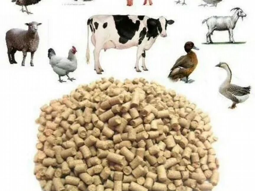 Кормовой зернопродукт пшеничный для животных