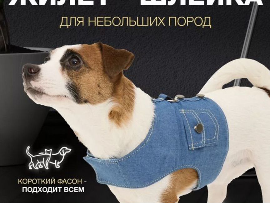 Жилет шлейка для мелких собак новый