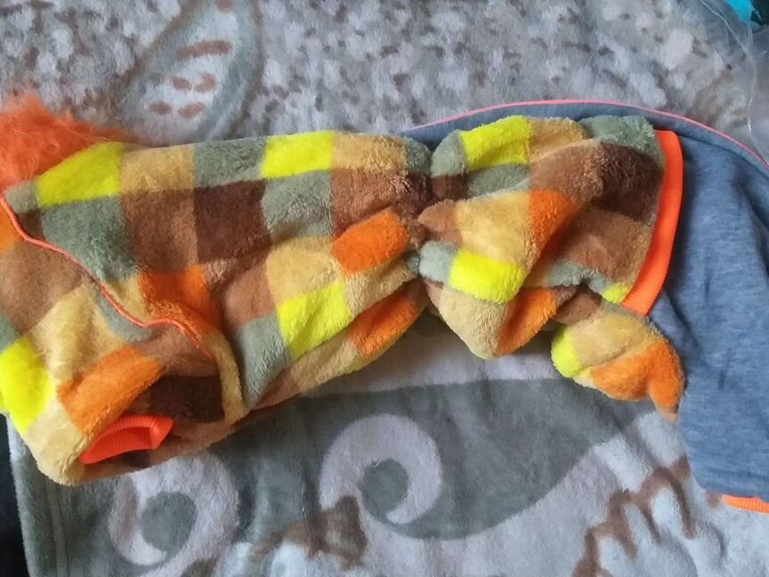 Куртки для Таксы