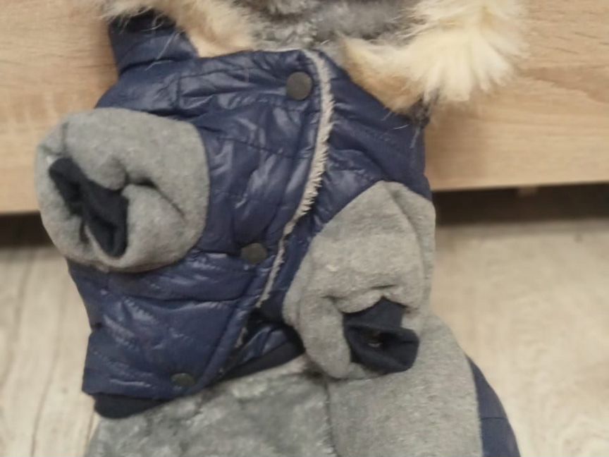 Зимний костюм для собак