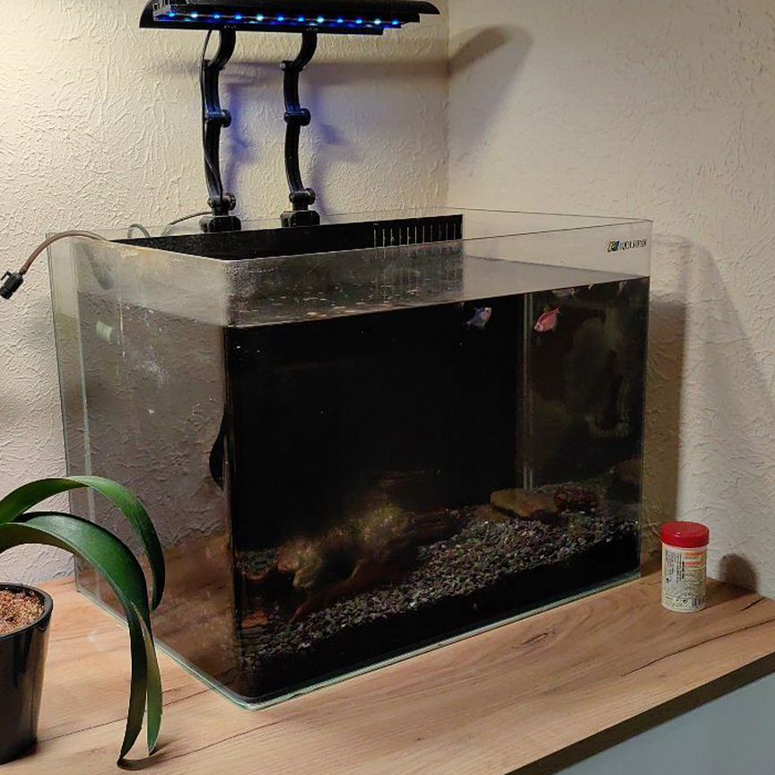 Аквариум на 60 литров