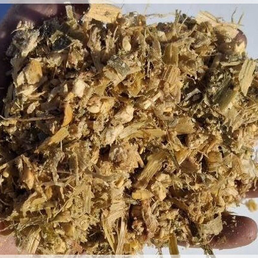 Продается кукурузный силос