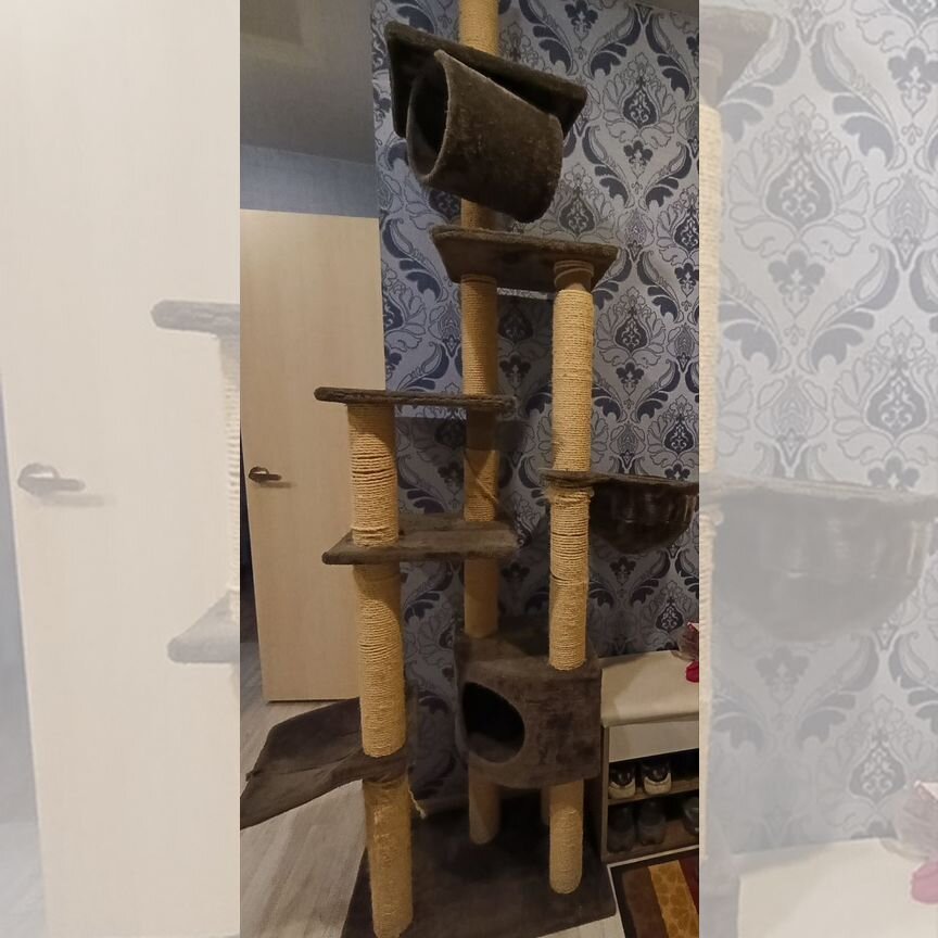 Когтеточка