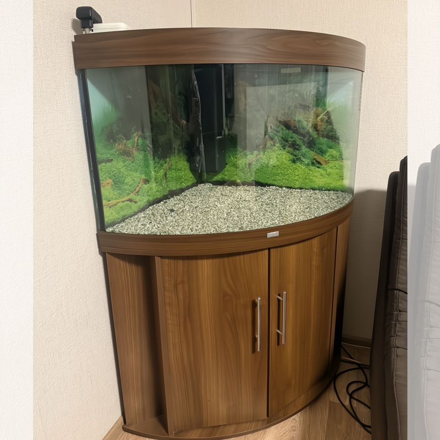 Аквариум с тумбой juwel 180л