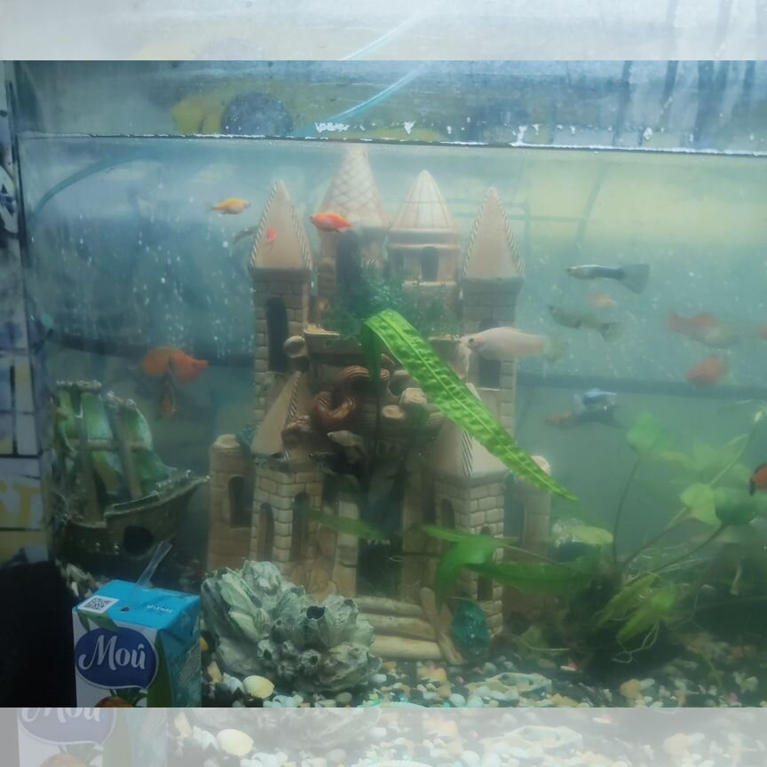 Аквариумный замок