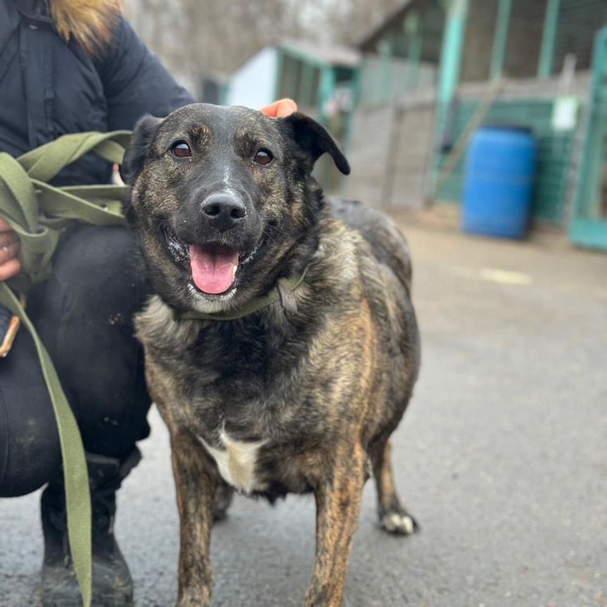 Алла раньше жила дома