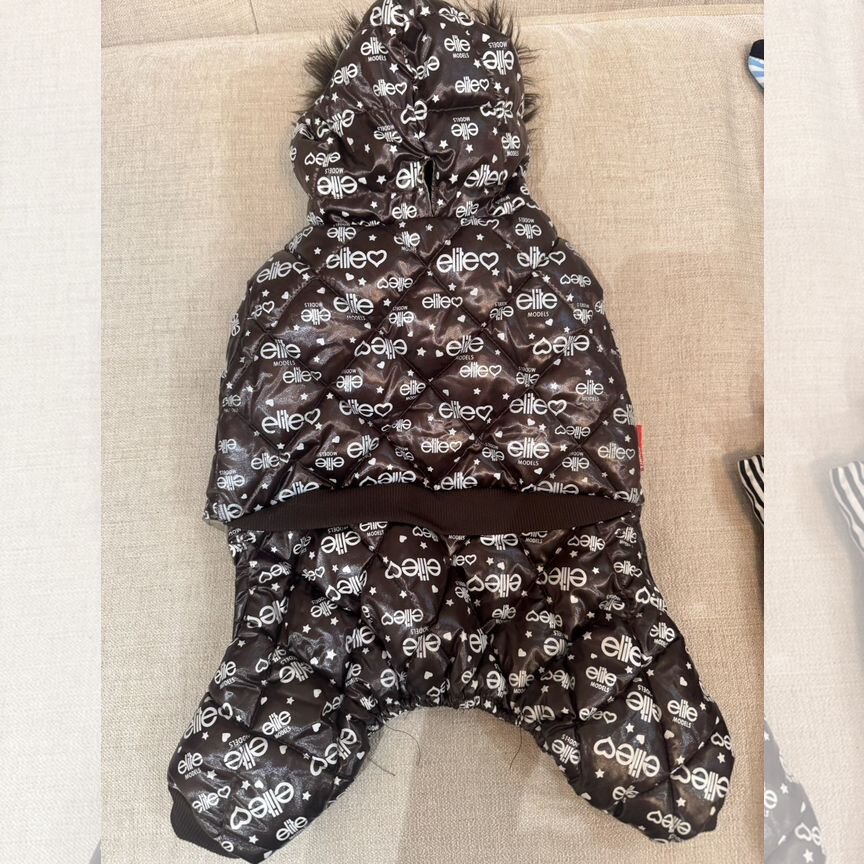 Одежда для собак