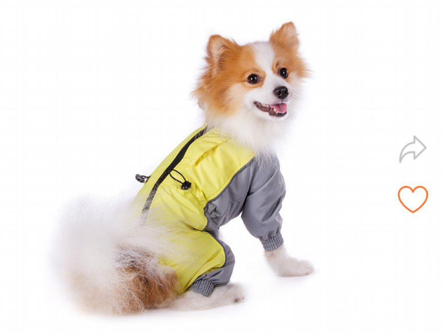 Дождевик для маленькой собаки Rungo