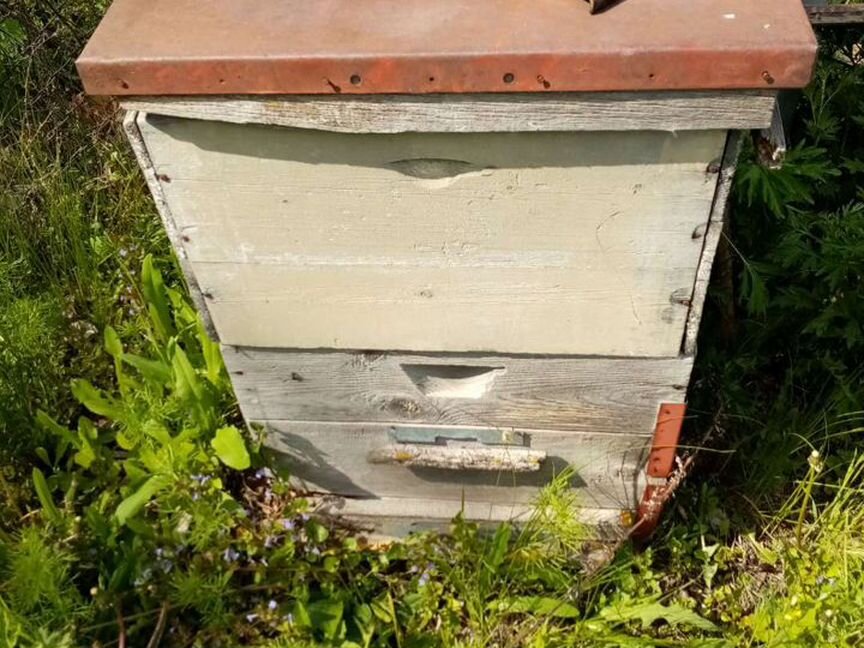 Ульи, фляги, роевня, цедилка для роев