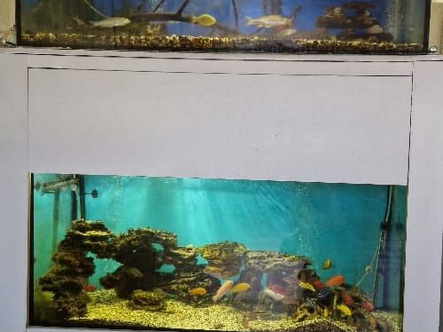 Продам аквариумы