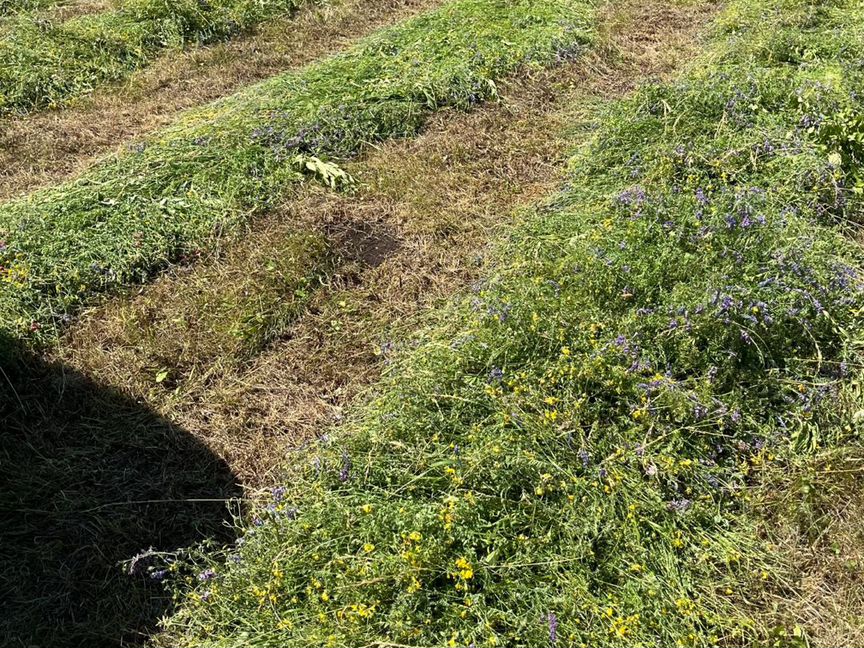 Сено в мешках