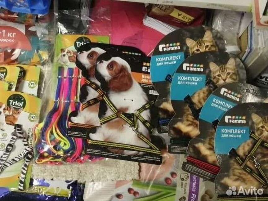 Шлейка с поводком для кошек и собак в ассортименте