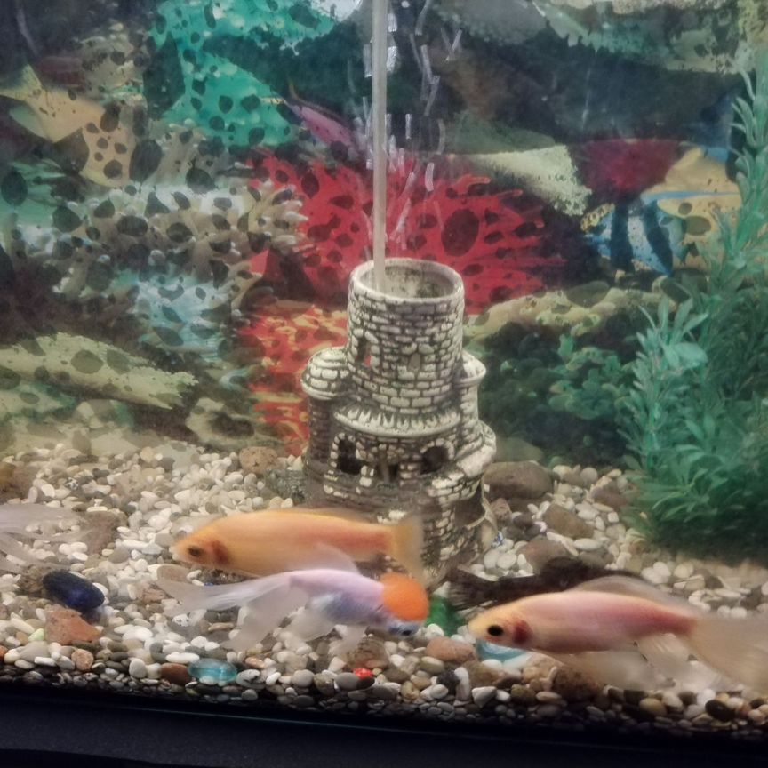 Украшение для аквариума