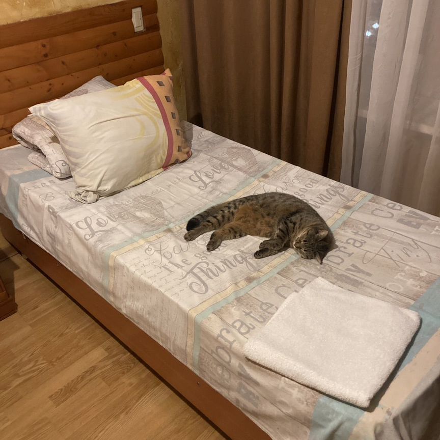 Купи кота