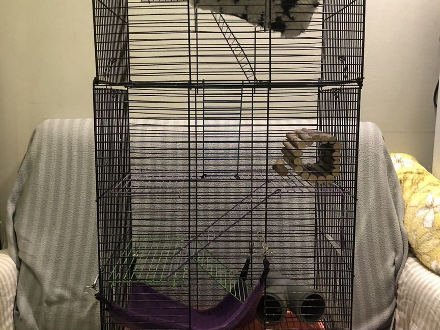 Клетка-небоскреб для грызунов хомяков, крыс