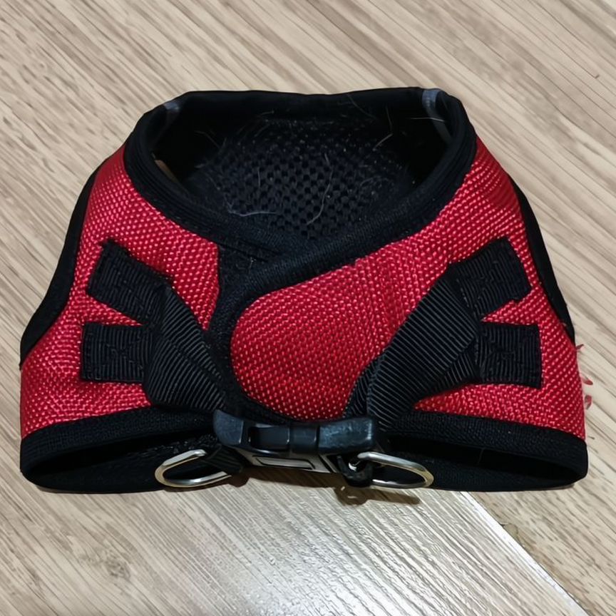 Шлевка для маленькой собачки