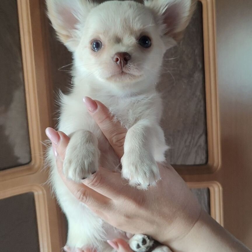 Мальчишечка