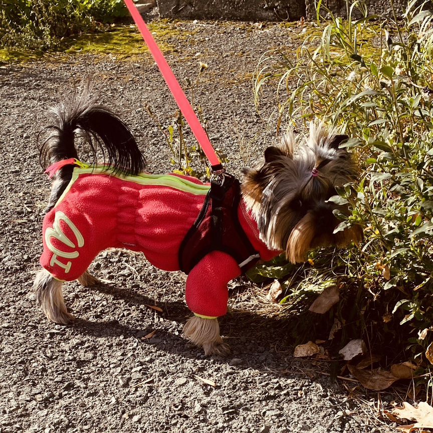 Флисовый комбинезон