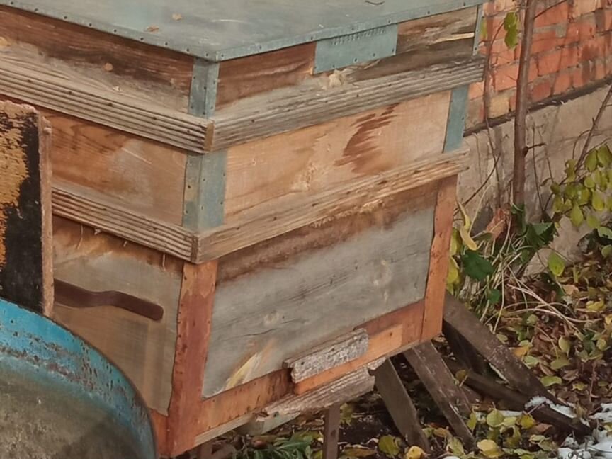 Продам ульи для пчел