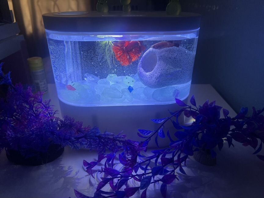 Аквариум с насосом и фильтром 2л Happy Fish