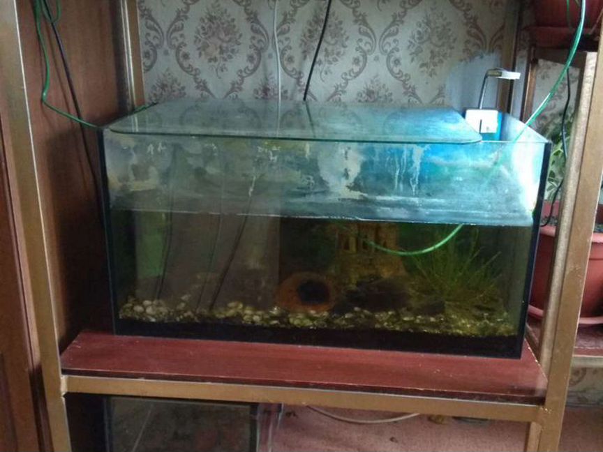 Стойка железная и аквариумные принадлежности