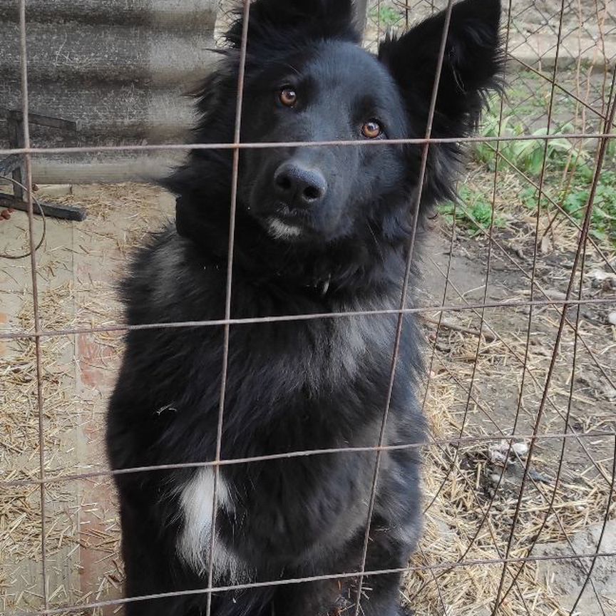 Грюнендаль 9 мес