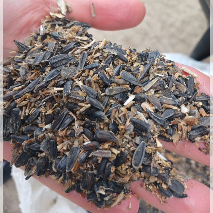 Отходы подсолнечника