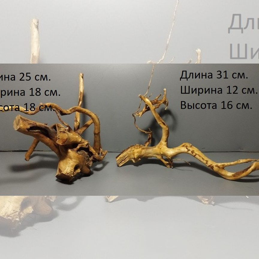 Коряги для аквариума паучий корень 2 штуки вк 58