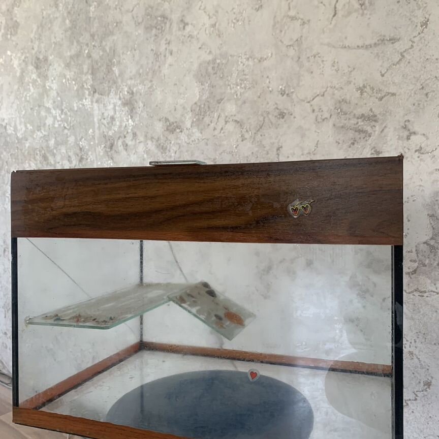 Аквариум для красноухой черепахи