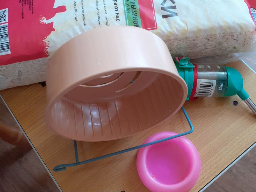 Вещи для хомяка