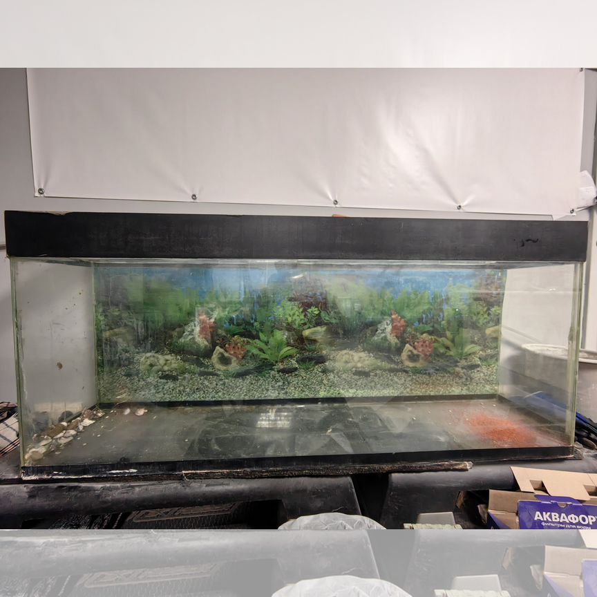 Аквариум