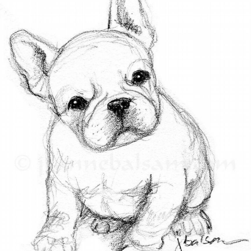 Рисую ваших питомцев