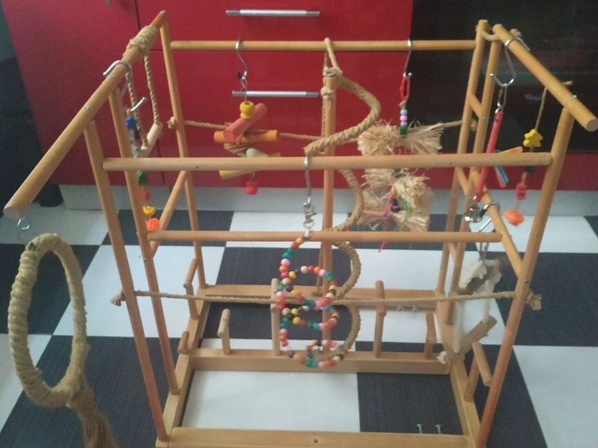 Игровой стенд для попугаев. Большой